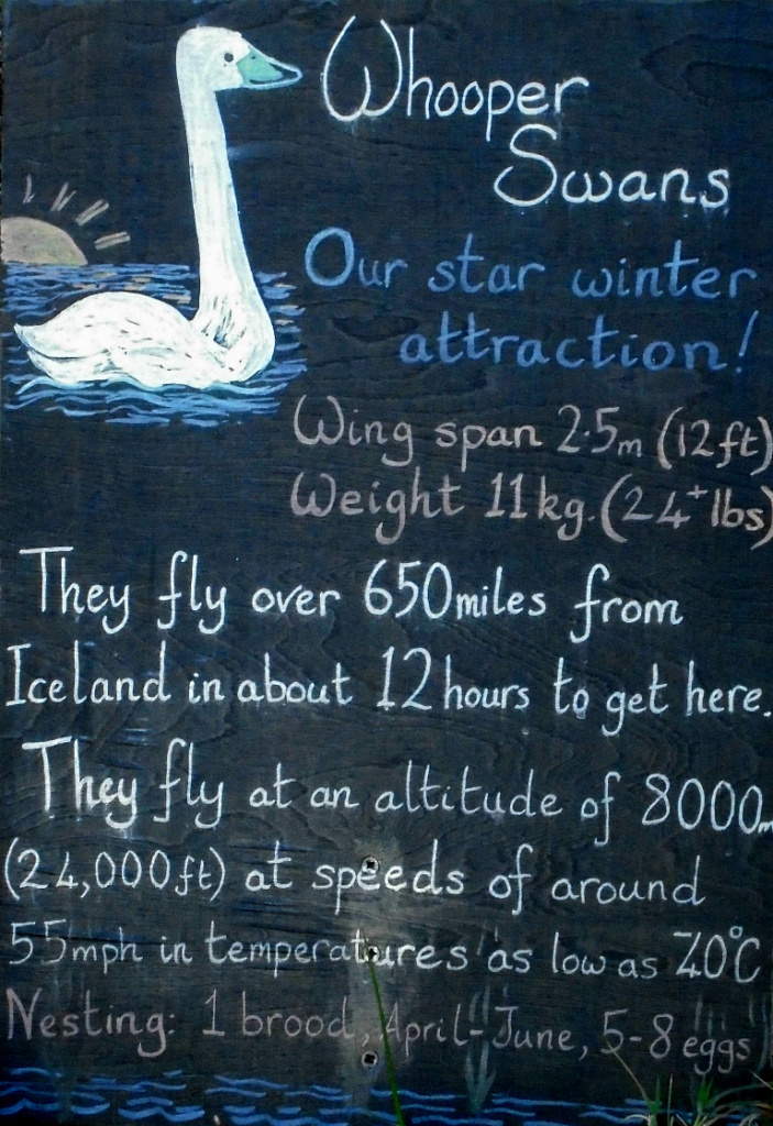 A Titanic trip to Belfast, ships, cranes, countryside and cushions